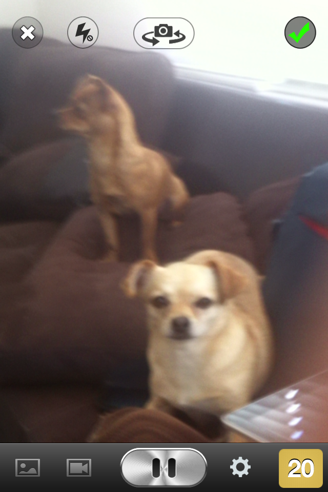 Create and share your own animated gifs with GifBoom for iOS - The Next Web