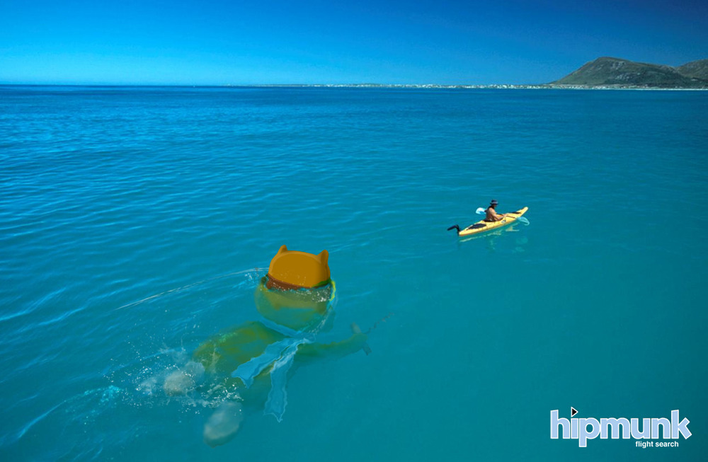 The Future of Travel Search Startup Hipmunk