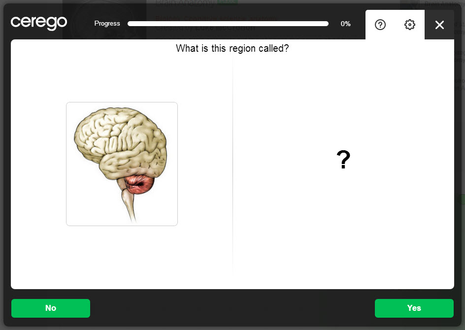 Cerego Launches Its Memory Management Service In US