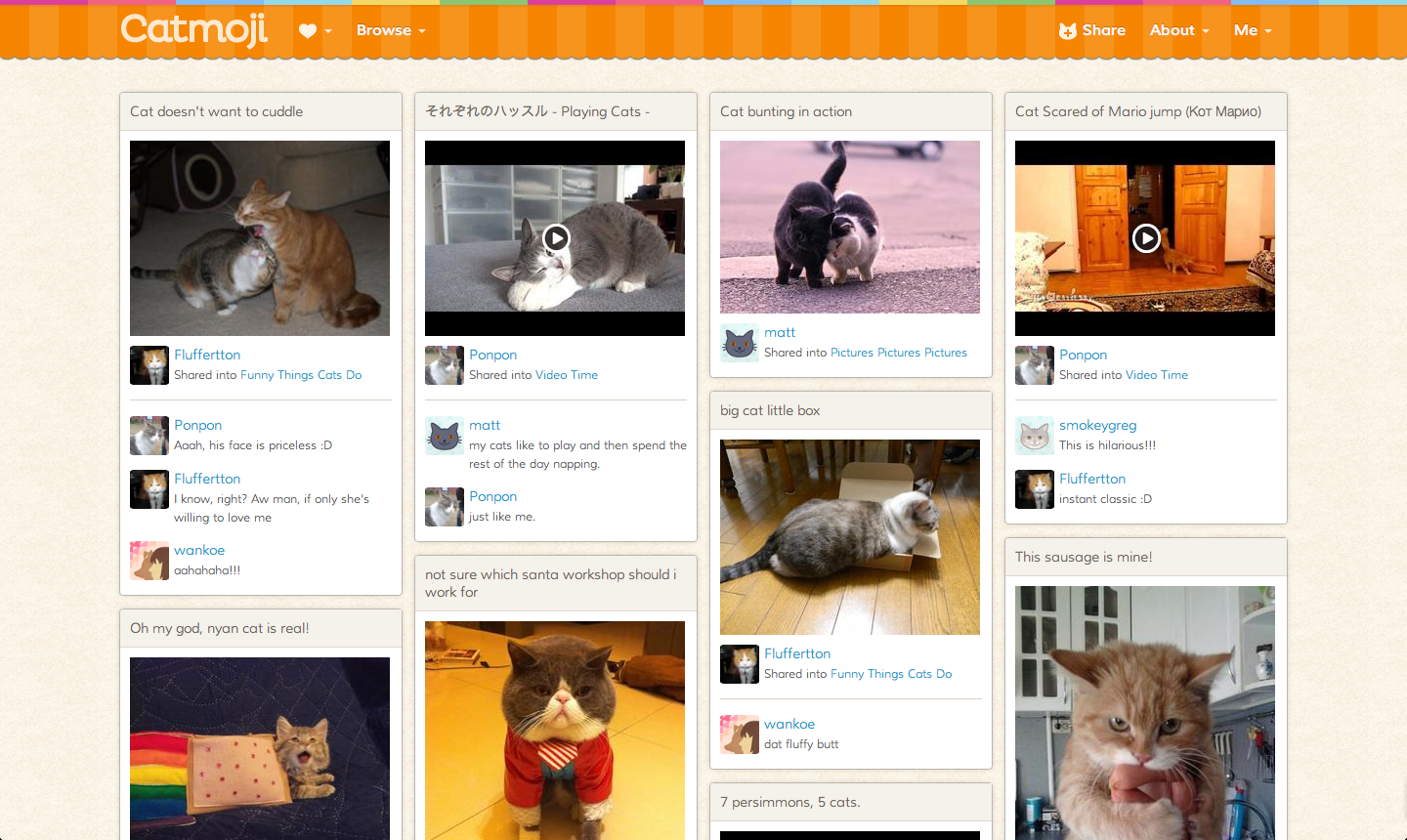 Catmoji Users Shared 21K Cat Videos and Pics in First Month