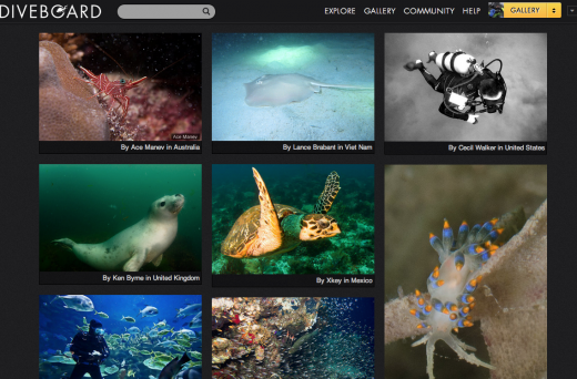 Diveboard: Meet the Scuba Startup Using Citizen Science
