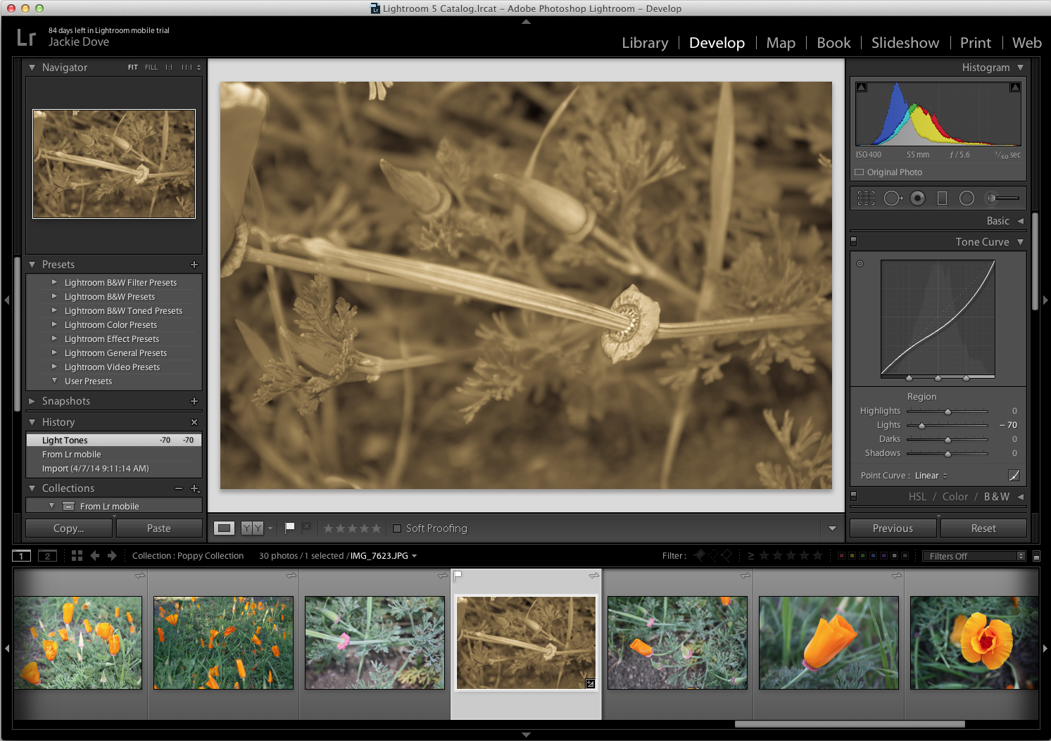Adobe Lightroom Mobile for iPad highlights integrated collaboration ...