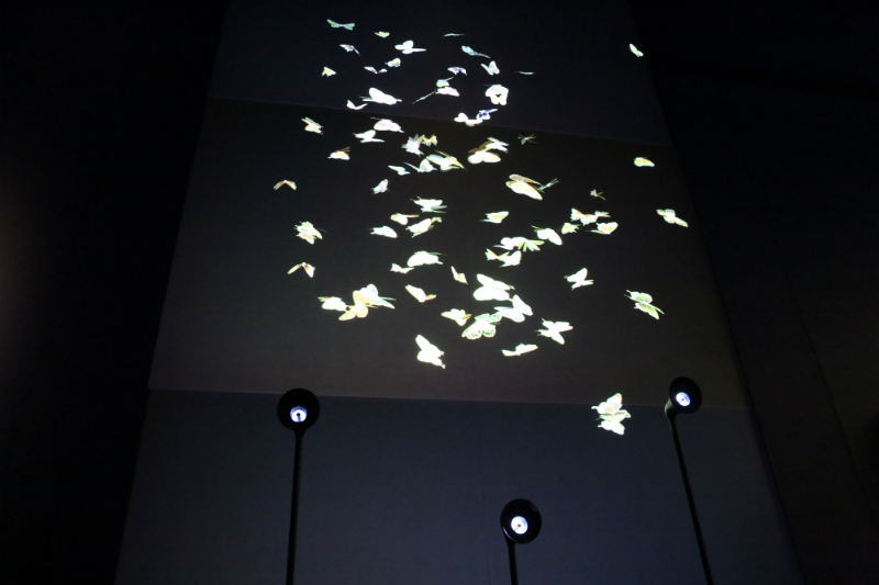 Google's DevArt Exhibition is Creative, Quirky and Serious Fun