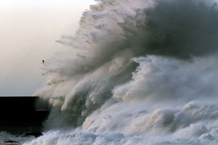 Wild Waves: 14 Photos of the Ocean Overtaking the Earth