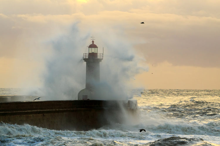Wild Waves: 14 Photos of the Ocean Overtaking the Earth