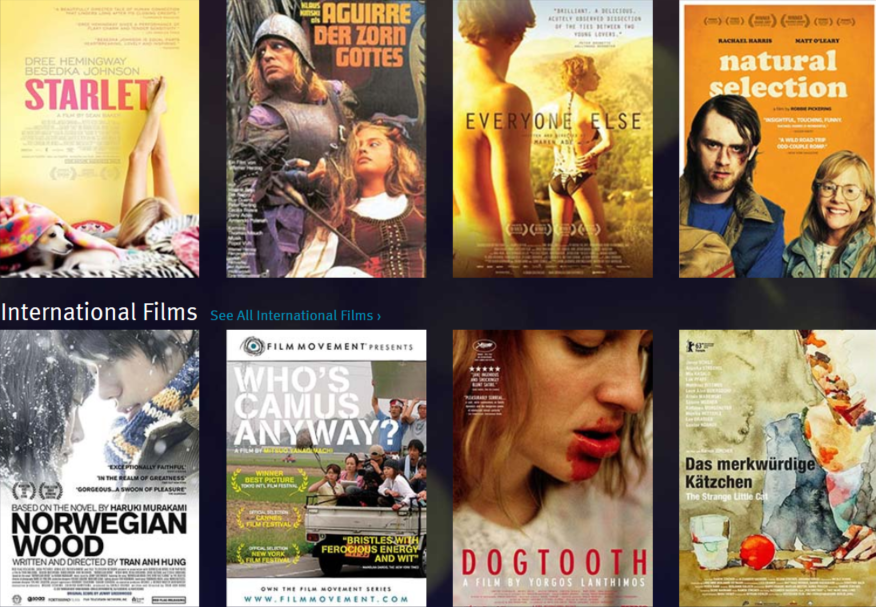 14 Niche Netflix Alternatives