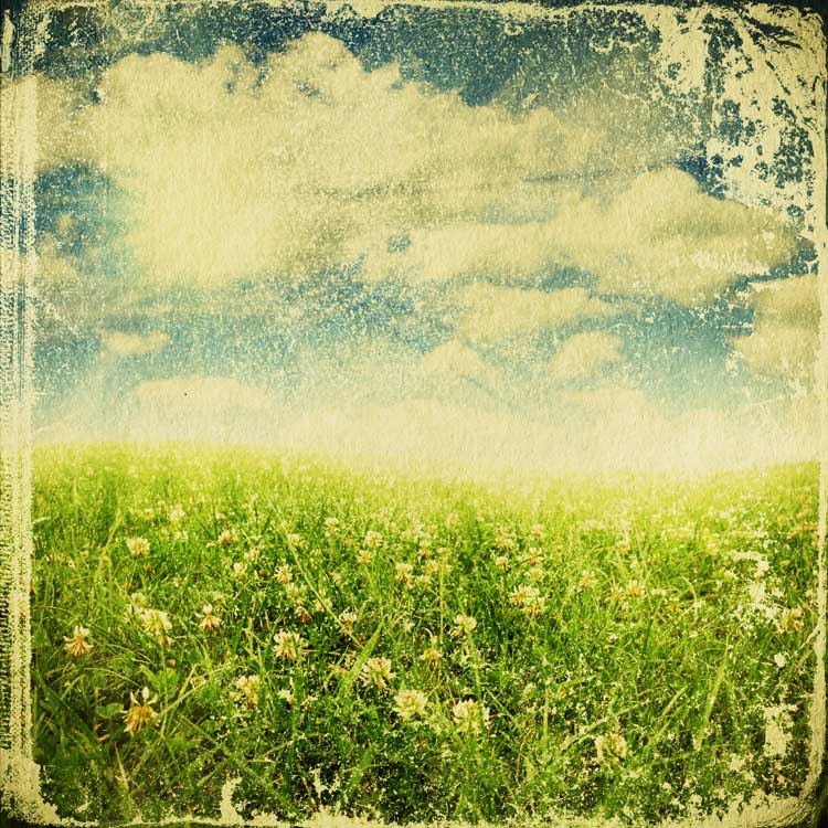 5 Analog Approaches to Unconventional Photography