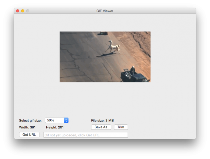 How to create GIFs of live events in seconds