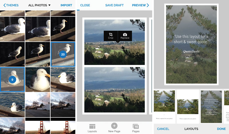 Steller Brings Pro Design Sensibility to Easy Storytelling App