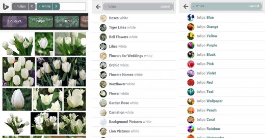 Bing Image Search's New Smart Suggestions Minimize Typing