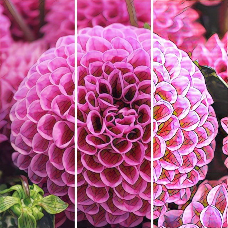 Prisma is now available to everyone on Android