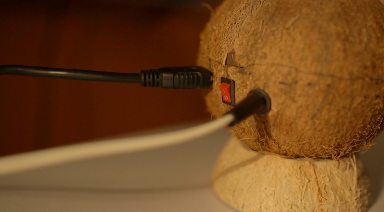 This connected coconut is looking to replace your Chromecast