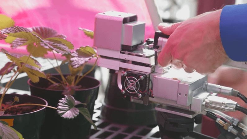 These pink greenhouses generate electricity and improve plant growth
