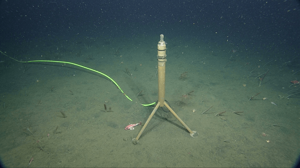 Researchers are livestreaming audio from nearly 4,000 feet below the ocean