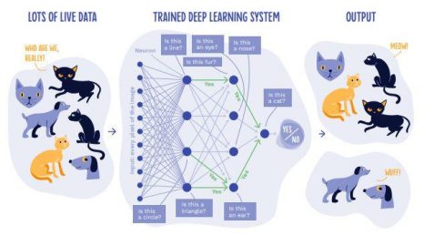 %%title%% Quick guide to deep learning