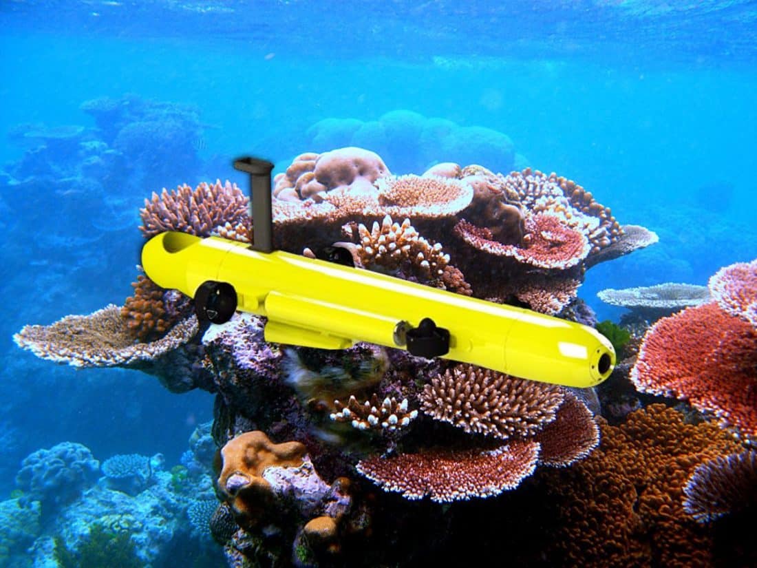 This underwater death machine has one mission: Destroy the starfish