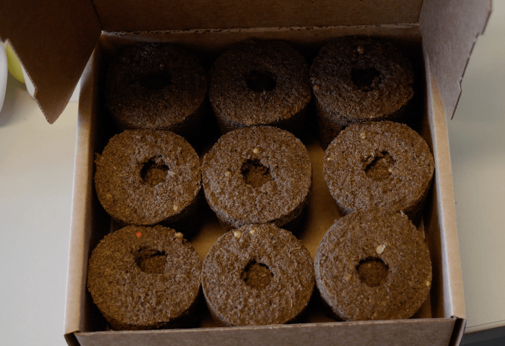 Video: We grew weed in our office with this ~high~ tech smart garden