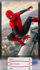 How to use Google image search on an iPhone