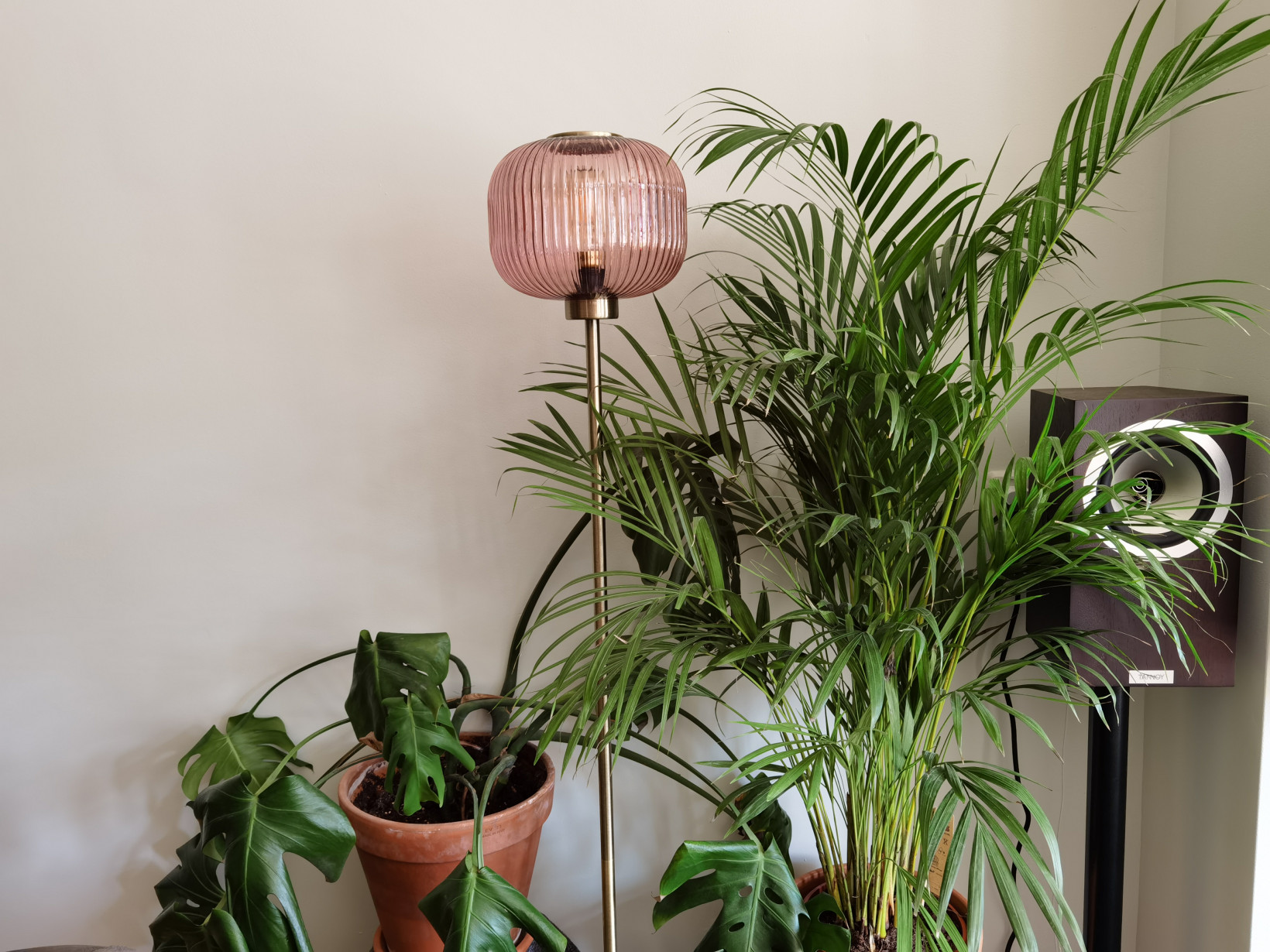 Huawei P40 Pro first impressions: Superb hardware and shoddy software