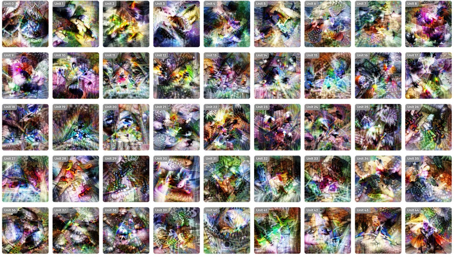 Check out these gorgeous visualizations of popular neural networks