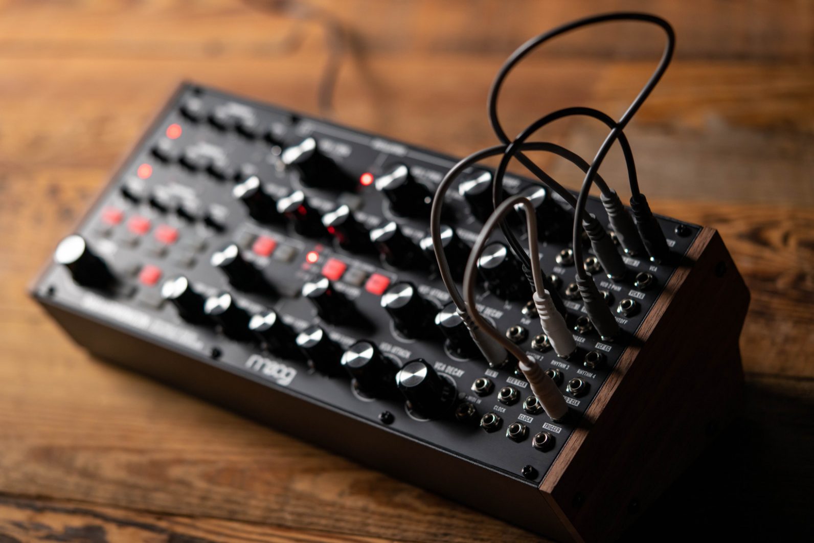 Moog’s Subharmonicon is the perfect instrument for people who think ...