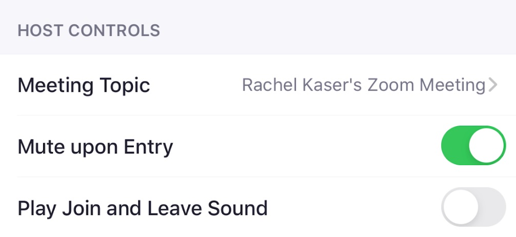 How to auto-mute yourself (and others) in Zoom meetings