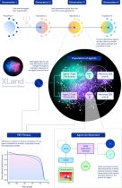 DeepMind’s new system could take us a step closer to general AI
