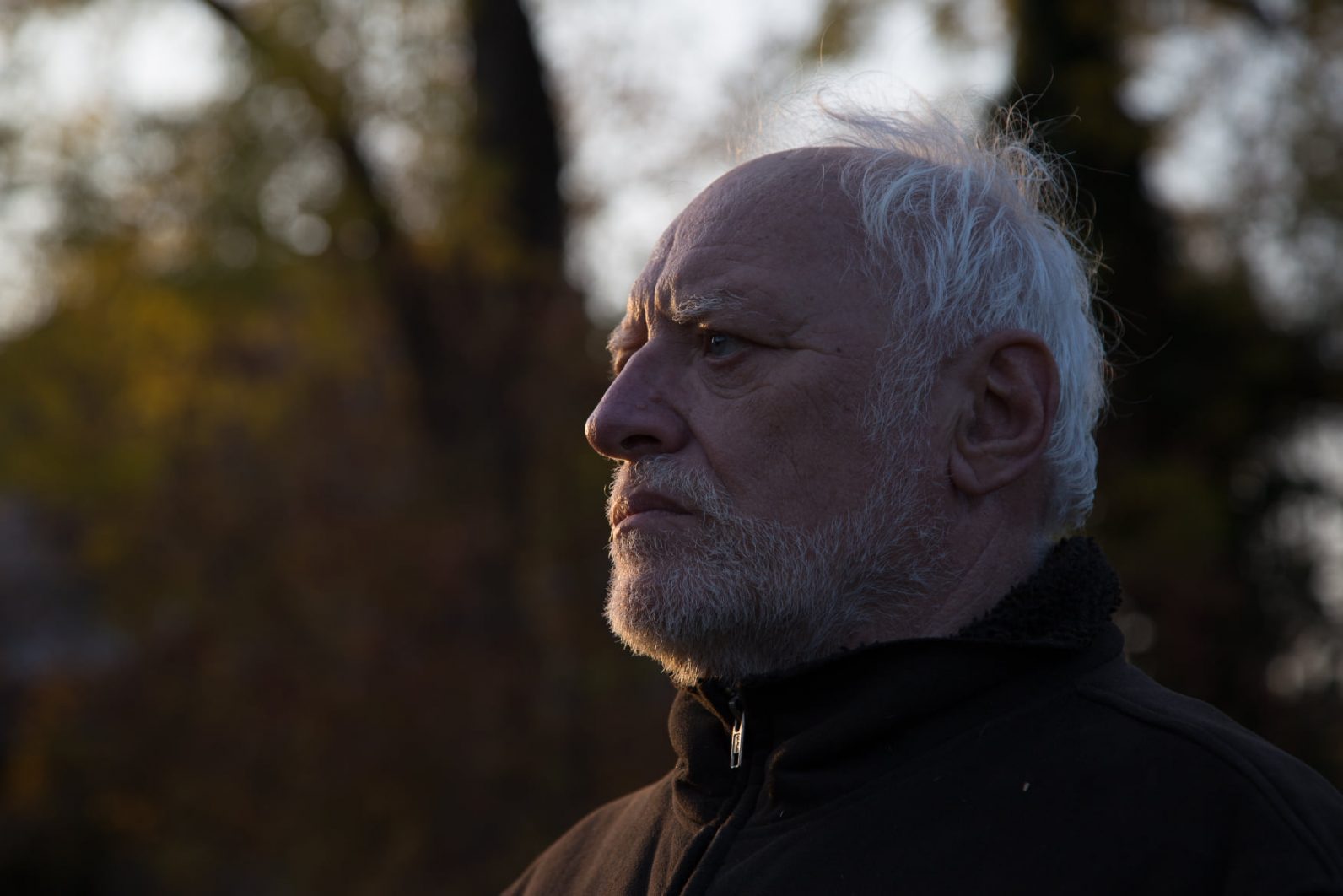 Hide the Pain Harold's autumn photos perfectly capture dark day blues