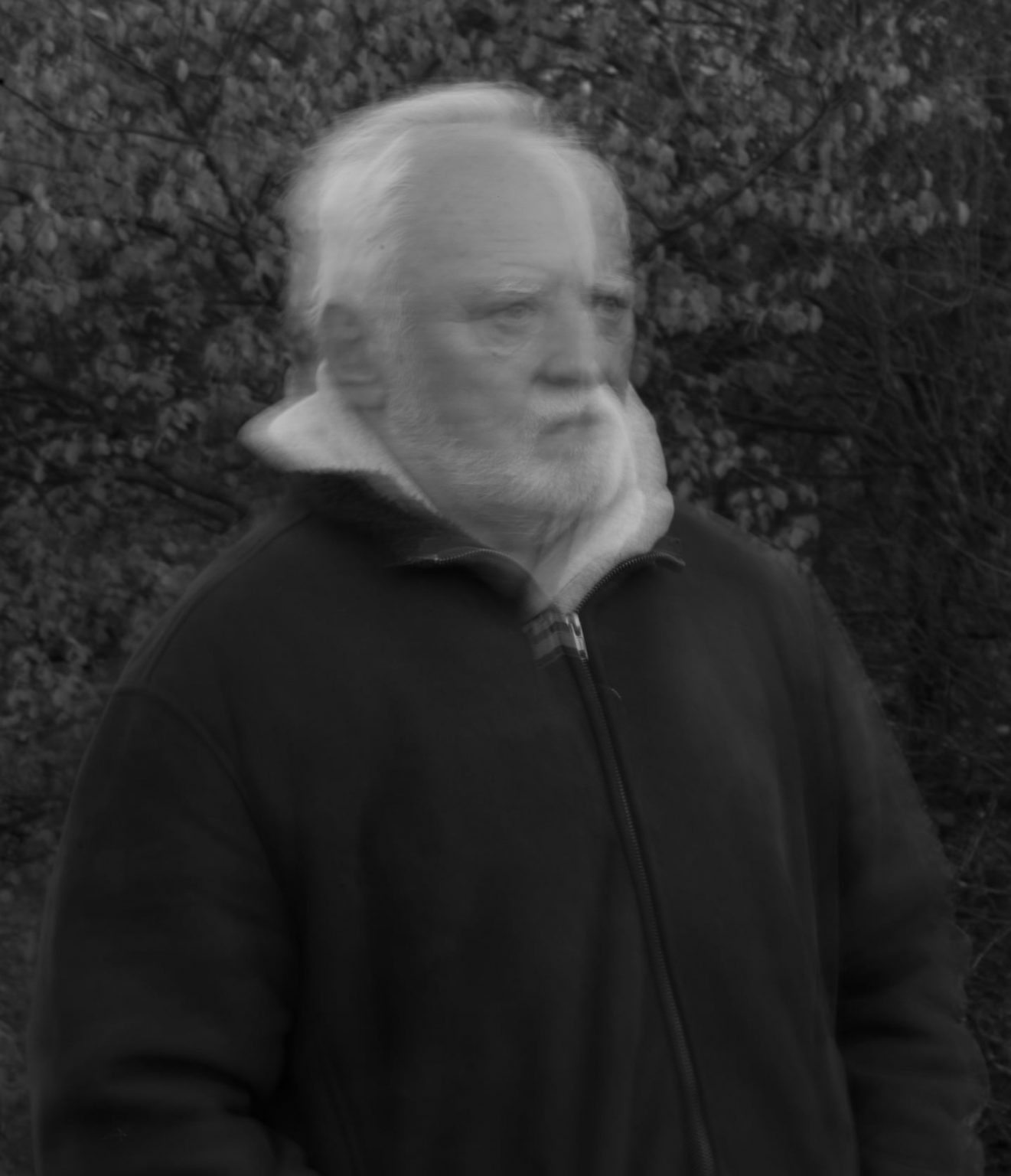 Hide the Pain Harold's autumn photos perfectly capture dark day blues