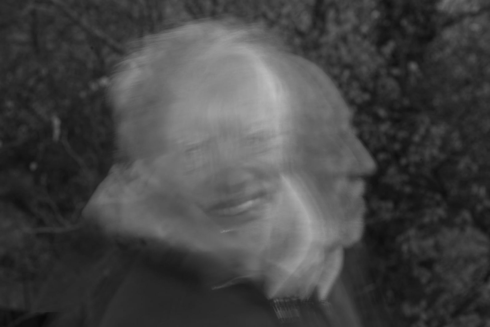 Hide the Pain Harold's autumn photos perfectly capture dark day blues