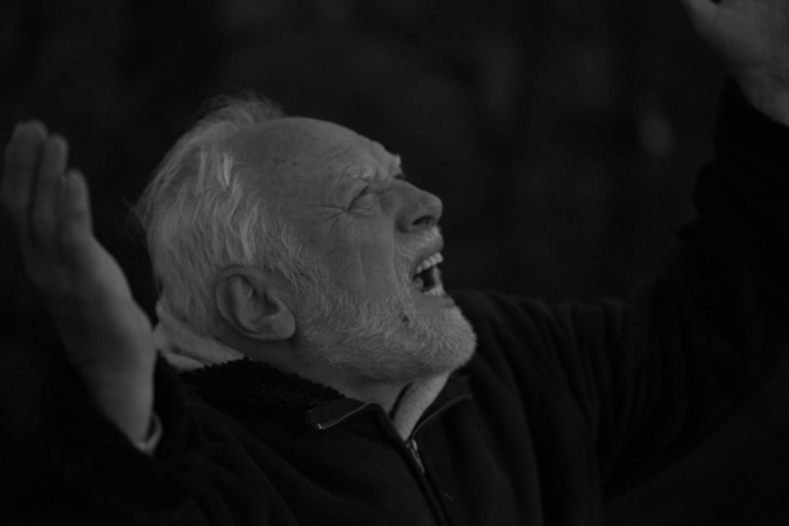 Hide the Pain Harold's autumn photos perfectly capture dark day blues