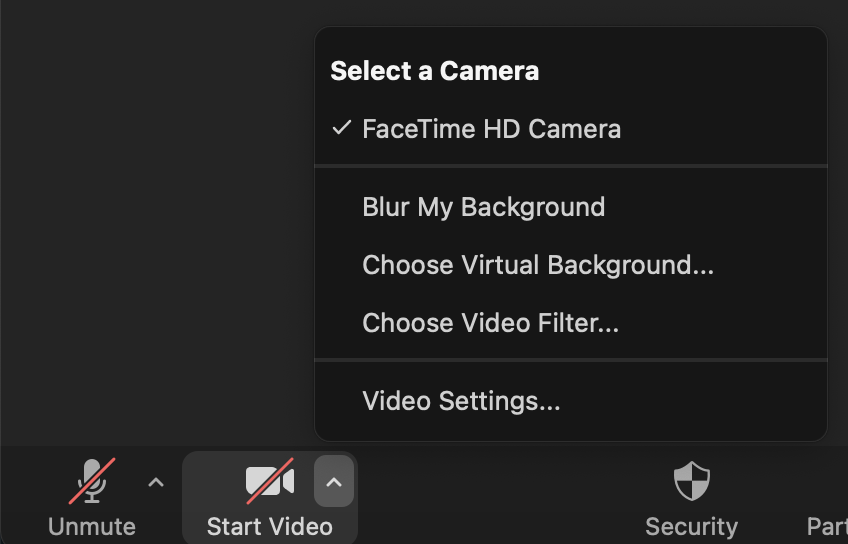 Zoom’s launch of animal avatars is a balm for video call fatigue