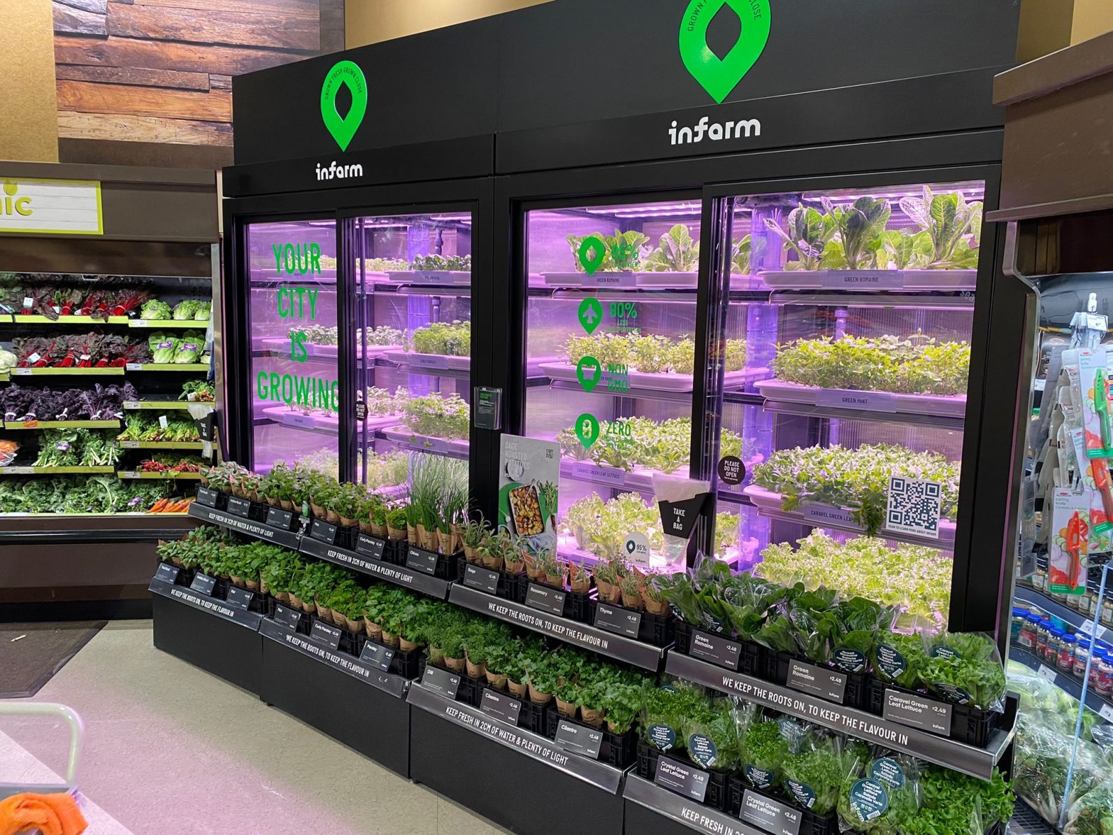 Startups are leading the way in agtech and food innovation