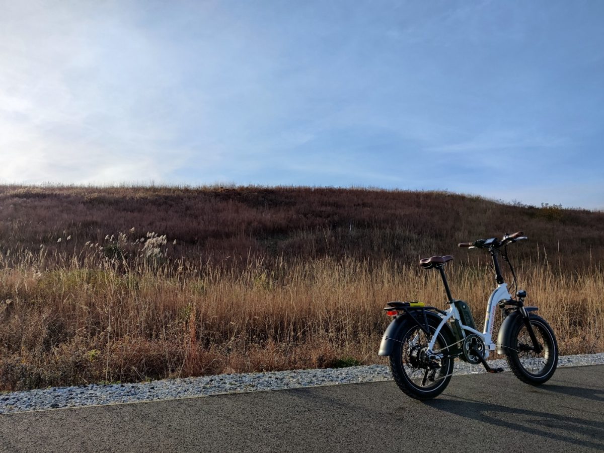 An ode to the RadMini, the Subaru of ebikes