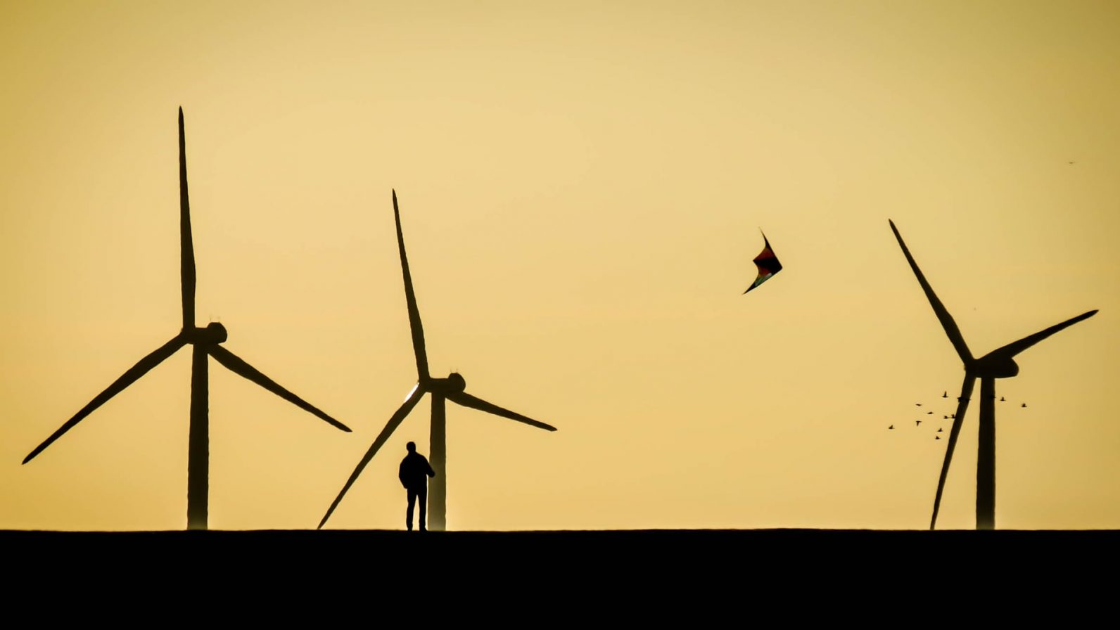 Why wind turbines are not as green as you think