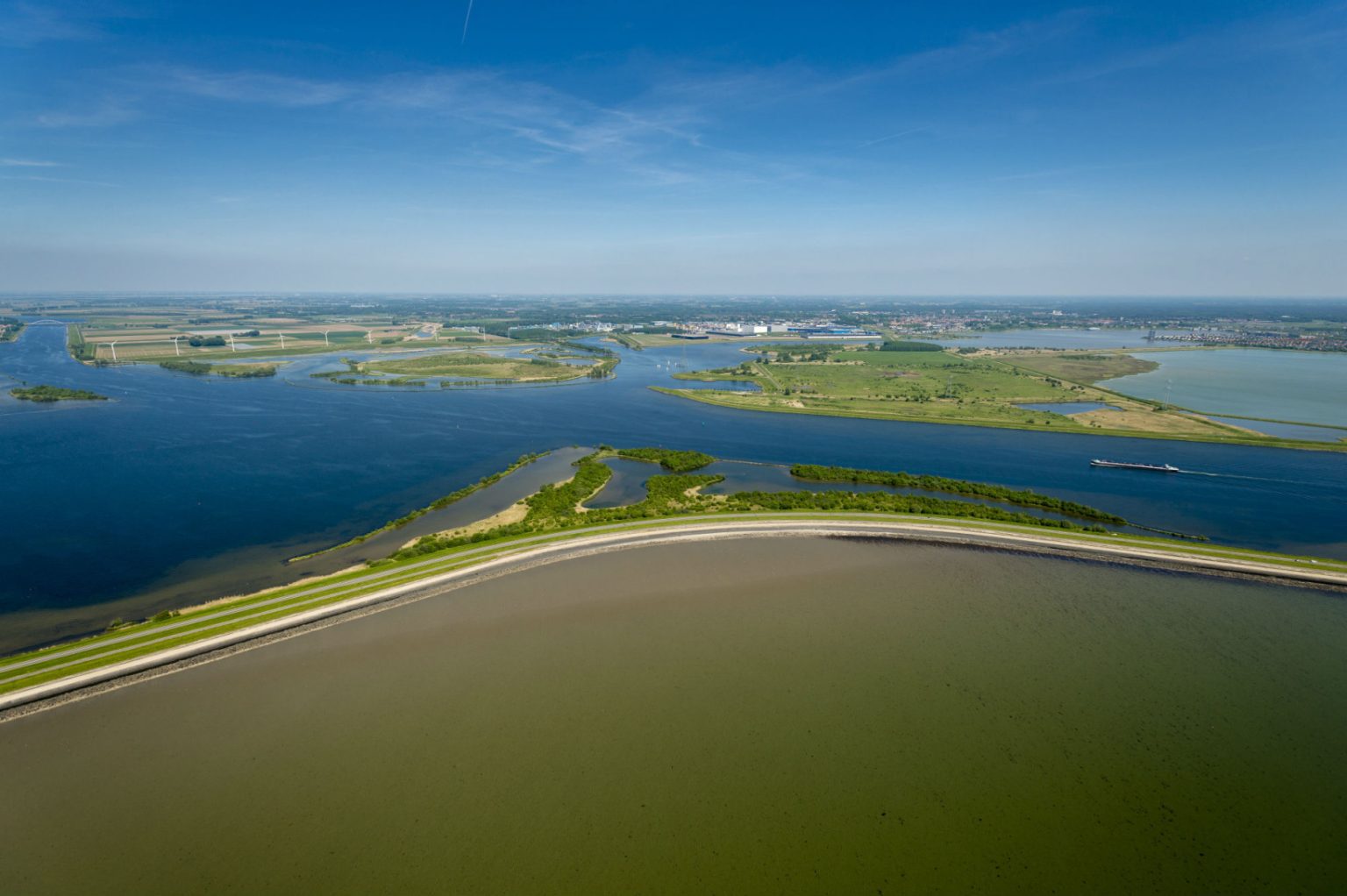 The Netherlands is the ideal breeding ground for green tech startups