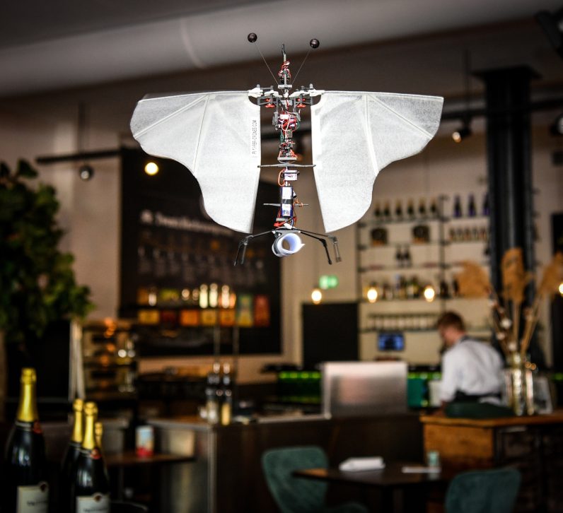 Are bioinspired drones the next big thing in unmanned flight?