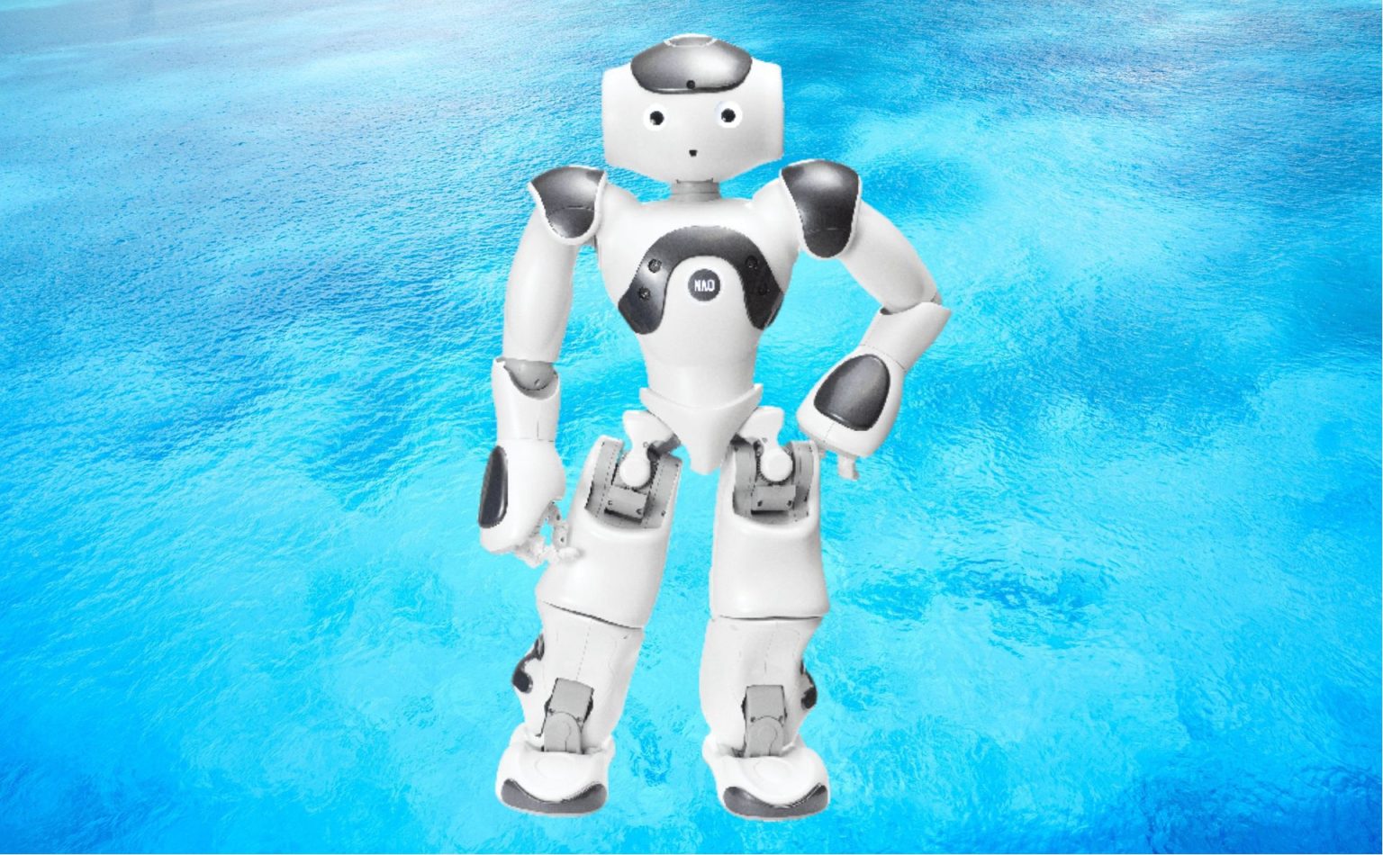 Rencontrez les robots participant au sommet « AI for Good Global » de l'ONU