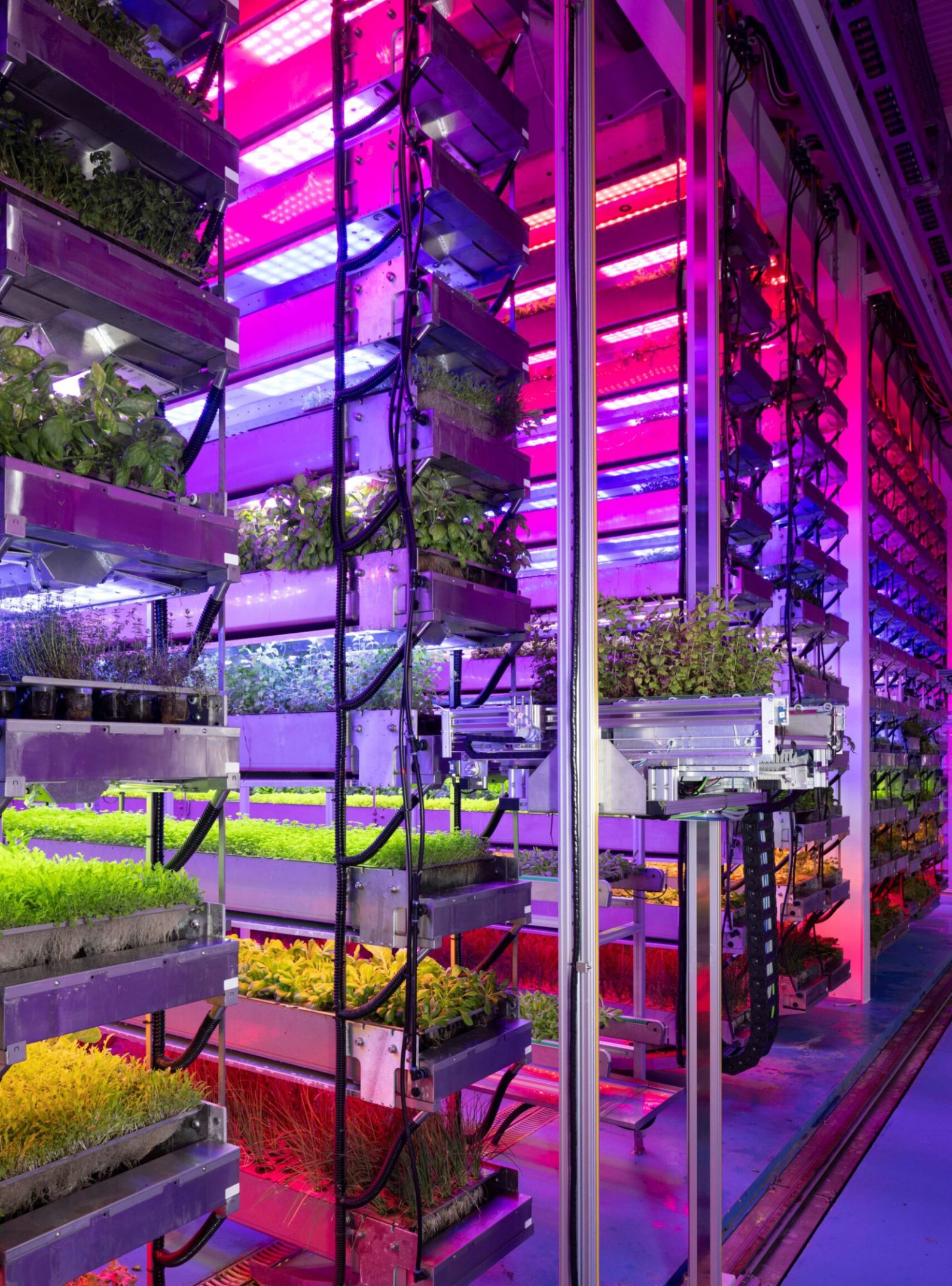 Autonomous vertical farming startup to grow crops in space in 2026